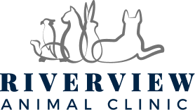 Vet Near Me 35242 - Riverview Animal Clinic - Birmingham, AL